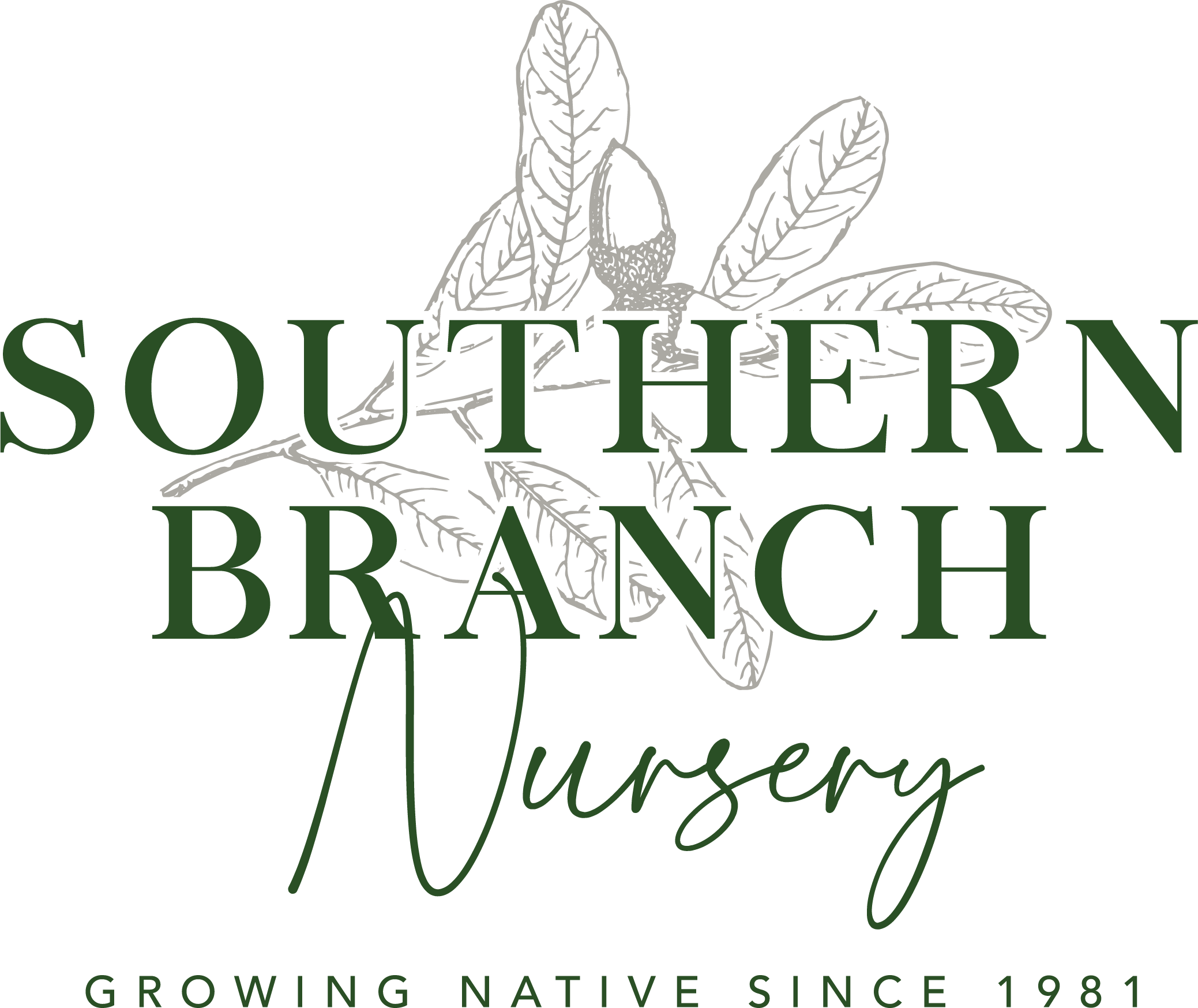 Order Native Plants | Southern Branch Nursery